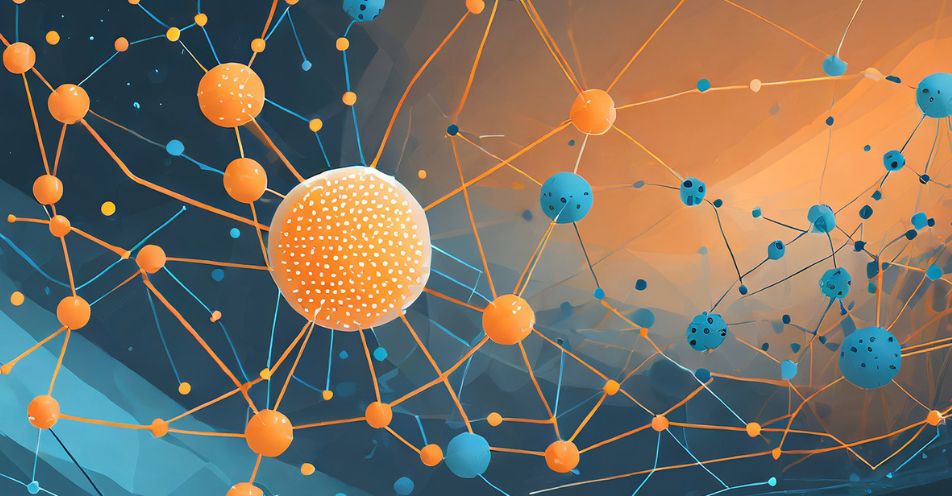 Contact Us - Human Immunome Project